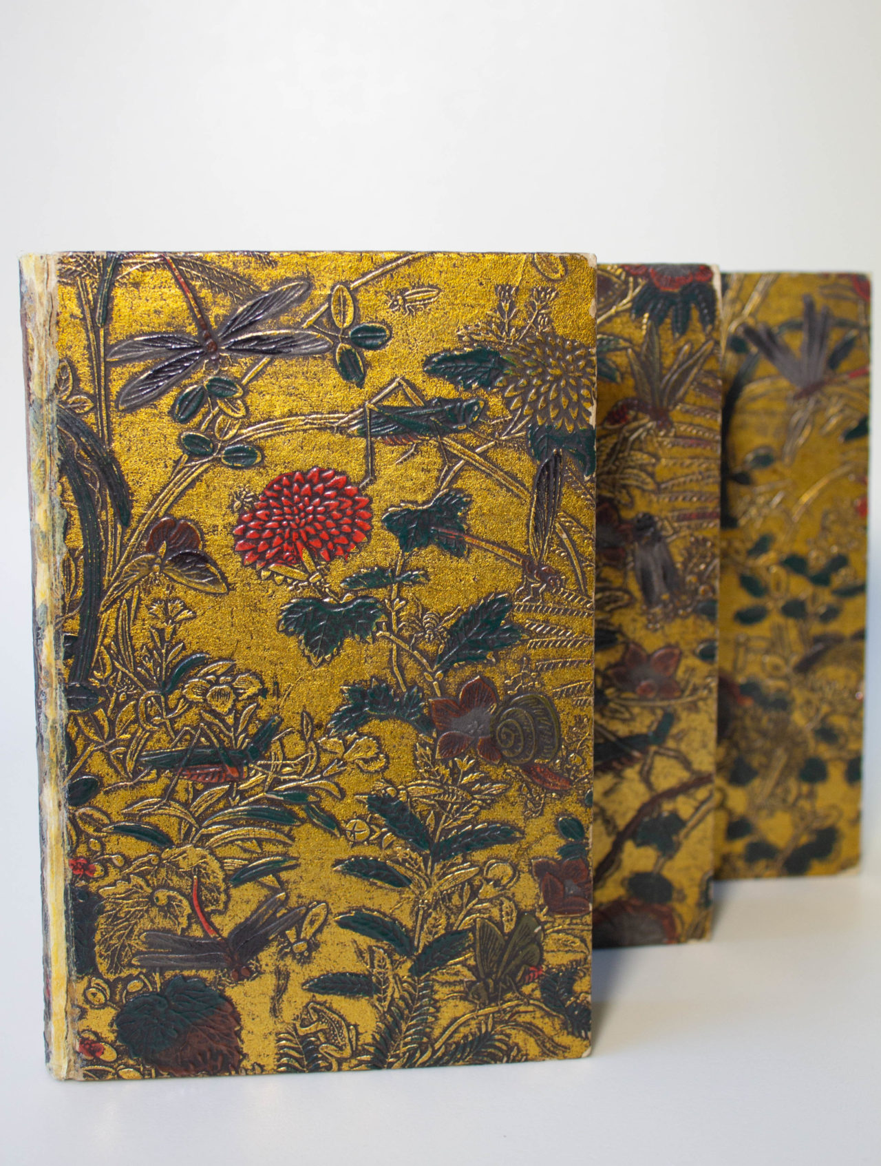 Faune, flore et reliures | Wittockiana